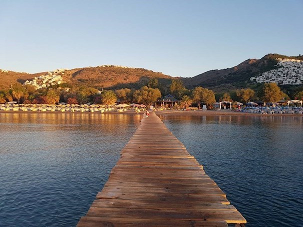 Camel Beach Bodrum Nerede? Nasıl Gidilir? | Hellovillam