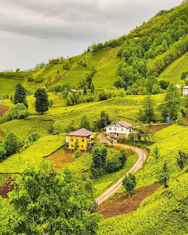 Rize Bungalov Evleri ve Otelleri Fiyatları | Hellovillam